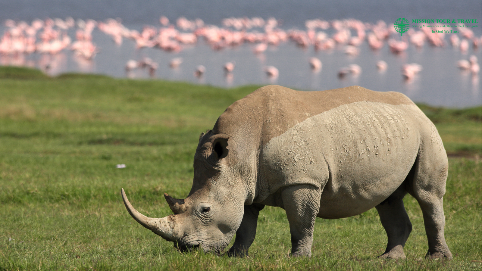 Epic 5-Day Kenya Safari: From Nakuru to the Mara - Mission Tour & Travel
